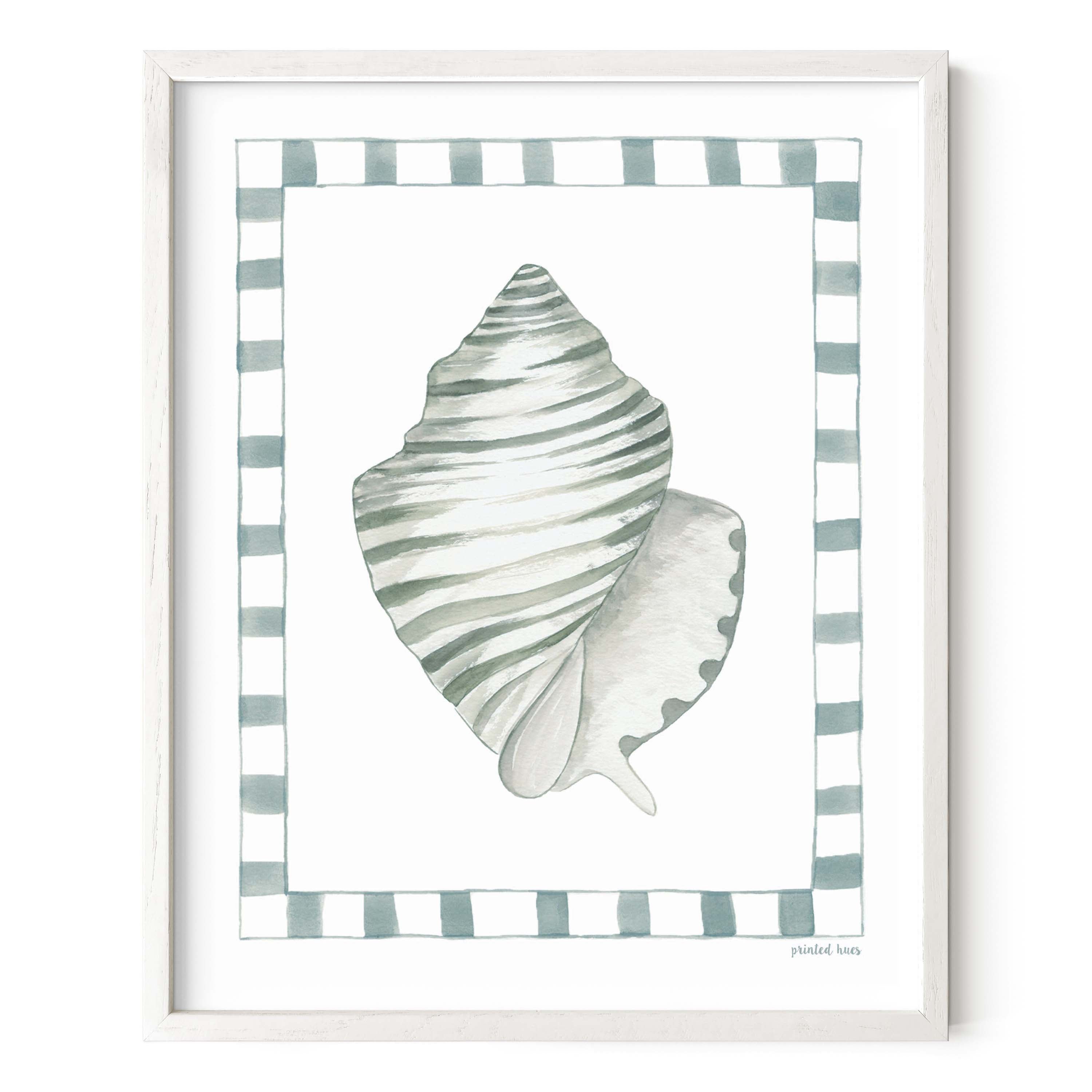 Shell Prints – Printed Hues